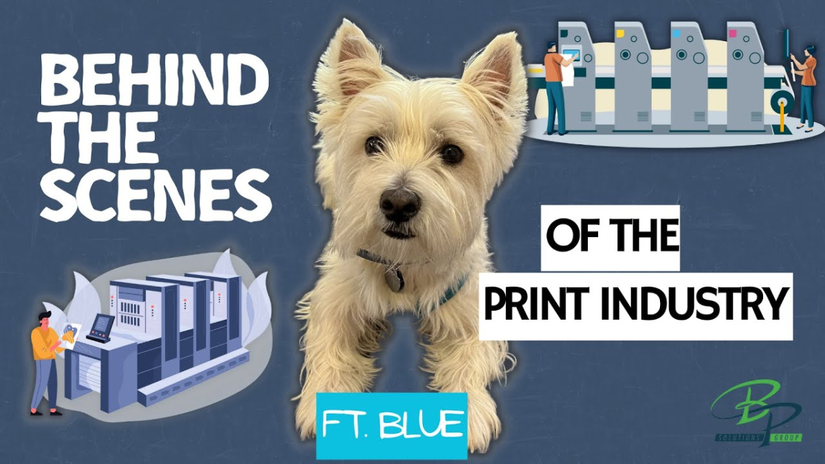 Behind the Scenes at BP Solutions Group, Featuring Blue